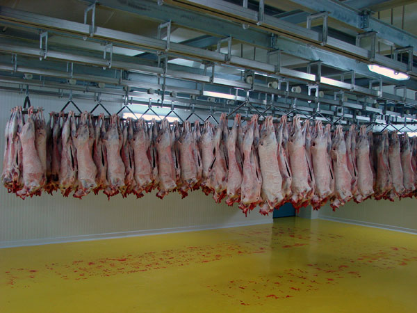 Portofoliu clienți | Baroncini